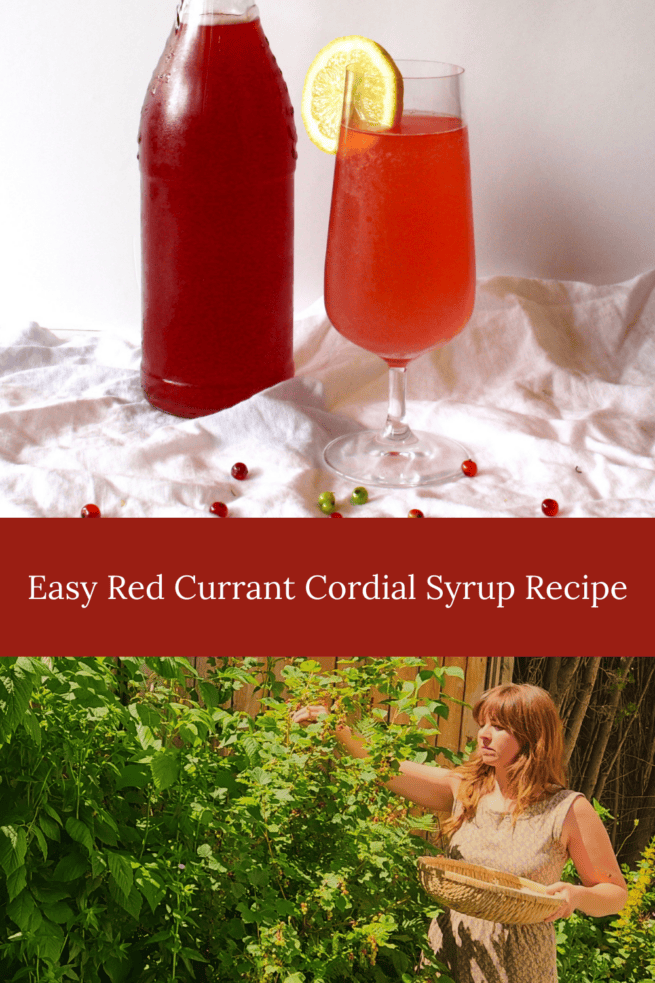 The best red currant cordial syrup a refreshing summer drink